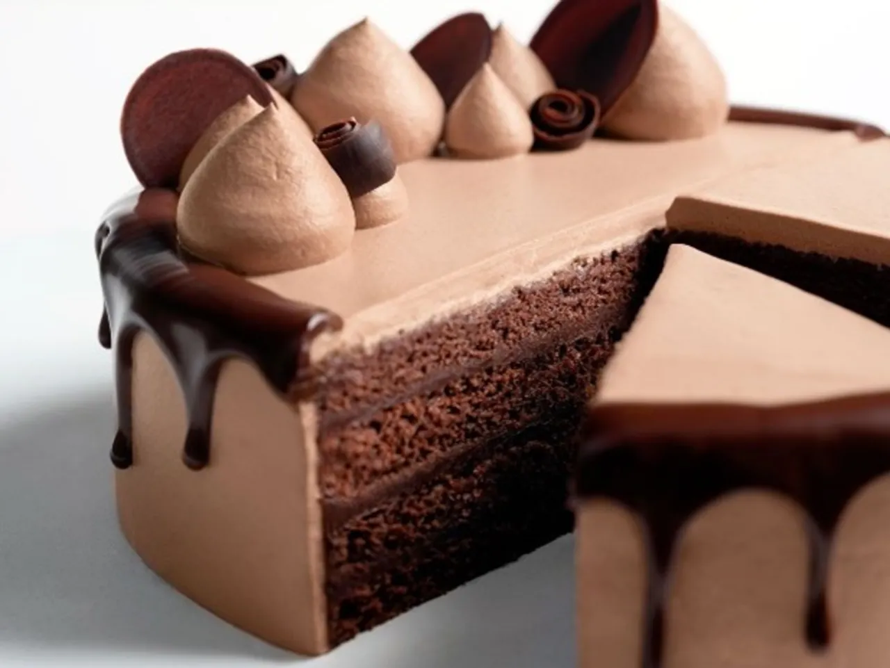 Cacao-Trace: Sustainable Chocolate and Cocoa-Based Solutions for ...