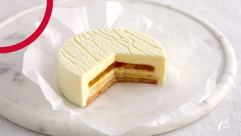 Creative Cheesecake - Puratos