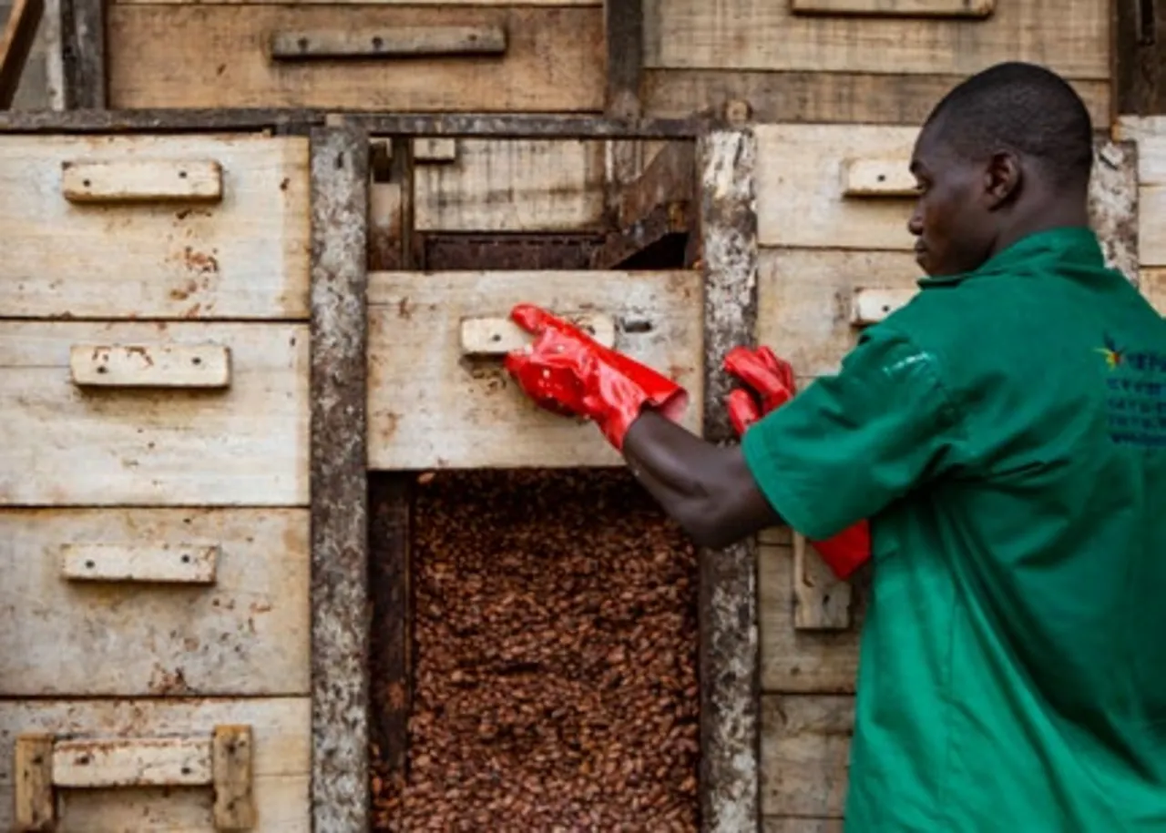 Puratos' Cacao-Trace: Elevating Chocolate Taste with Expert Fermentation