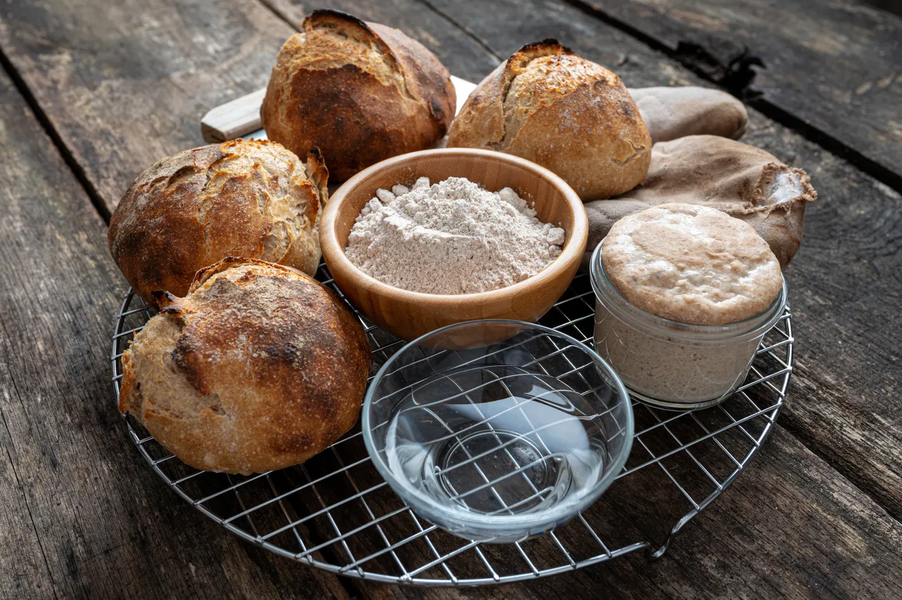 Gourmet Sourdough Rolls - Puratos